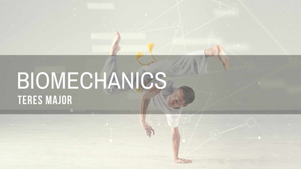 Designed to Move | Teres Major – Fluid Health and Fitness